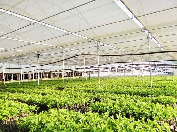 Vermicomposting Setup & Guidance – Jaivik Roots